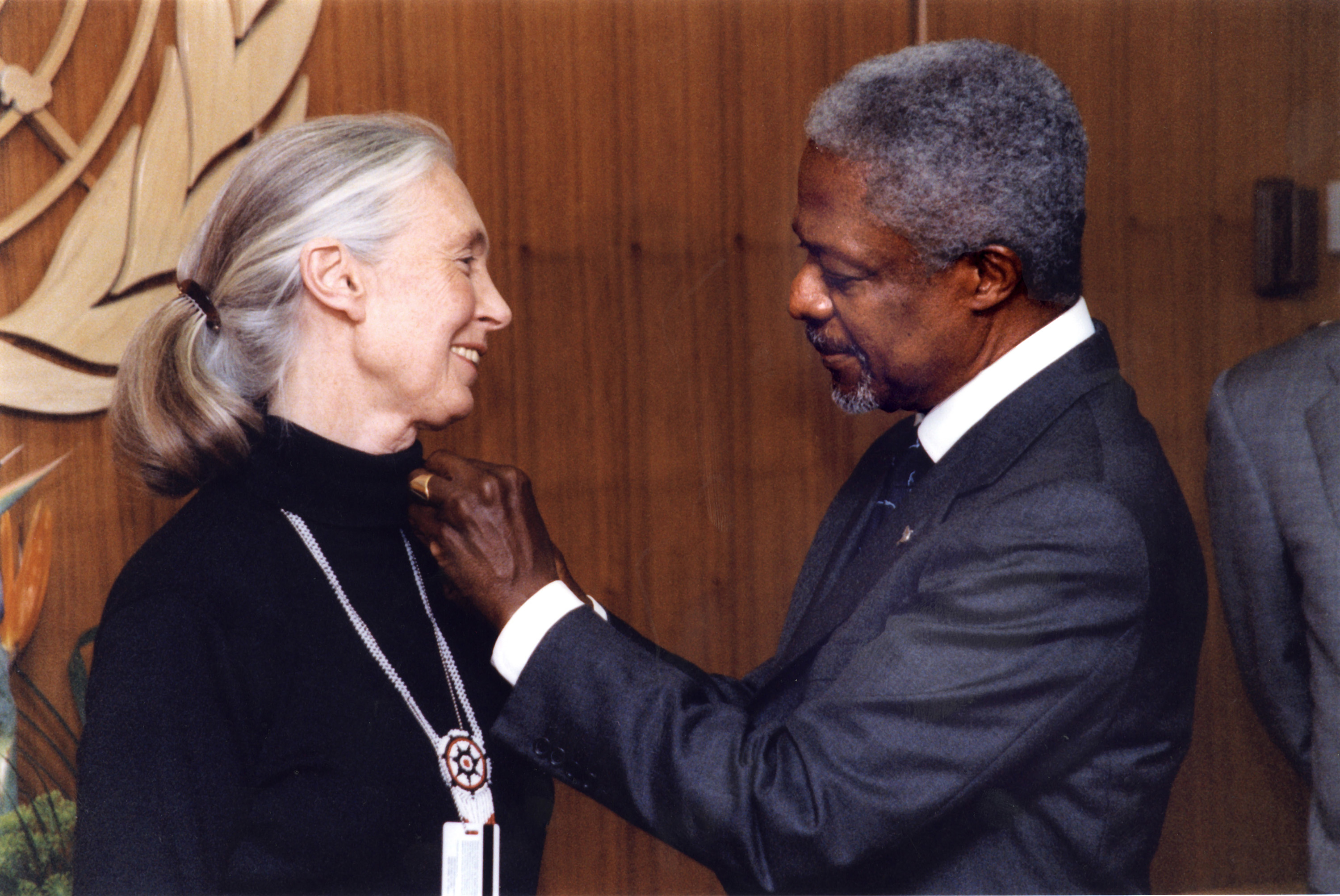 A Forest, a Lifetime and a Legacy in the Age of AI | Analytics India ...