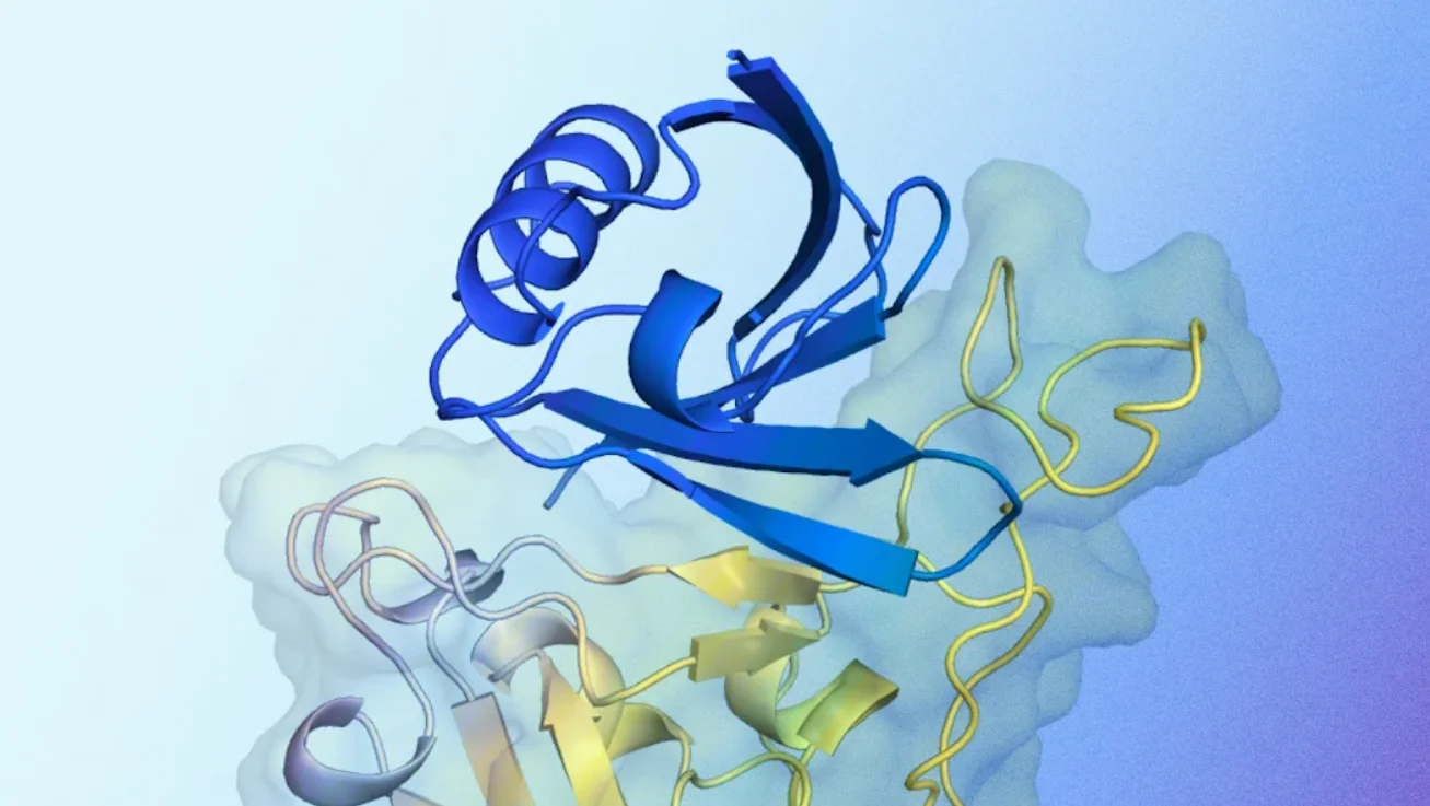 How Can AlphaProteo Revolutionize Protein Design? | Analytics India ...
