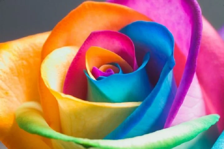 Guide To Flower - A Framework To Build Federated Learning Systems ...