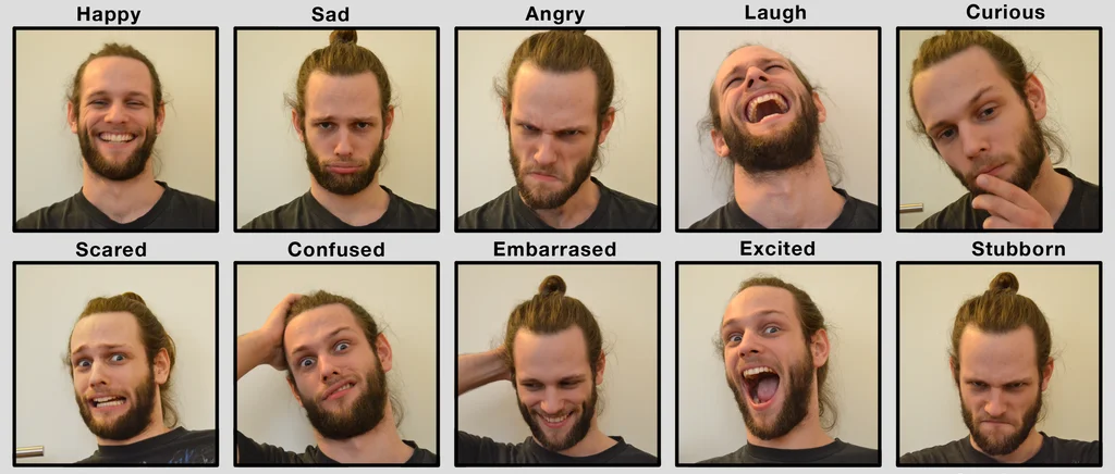 What Are the Best Datasets for Emotion Detection in 2024? | Analytics ...