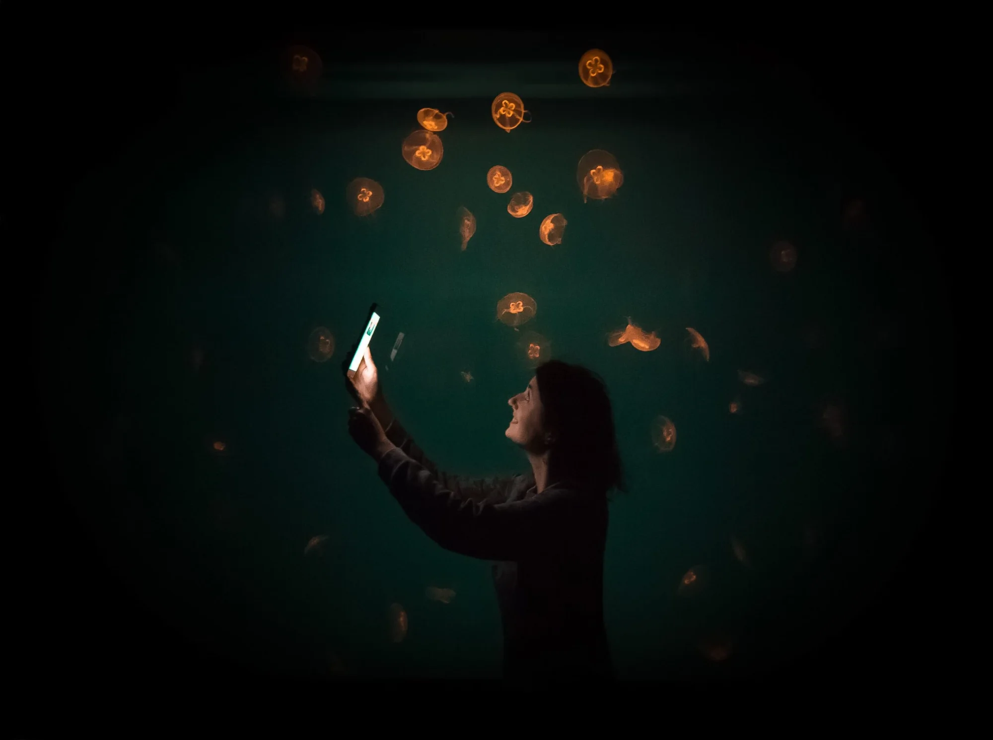 How Can Businesses Achieve Agility in the Digital Age? | Analytics ...
