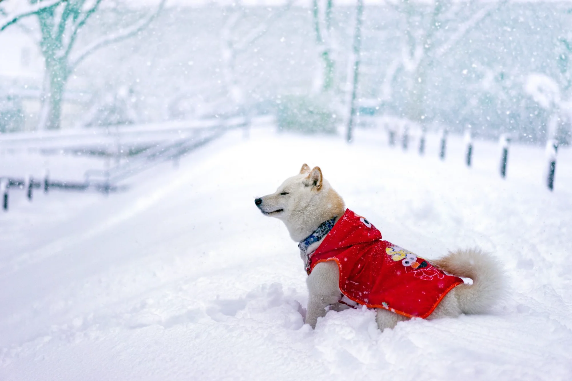 What Does Freezing A Layer Mean In Neural Networks? | Analytics India ...