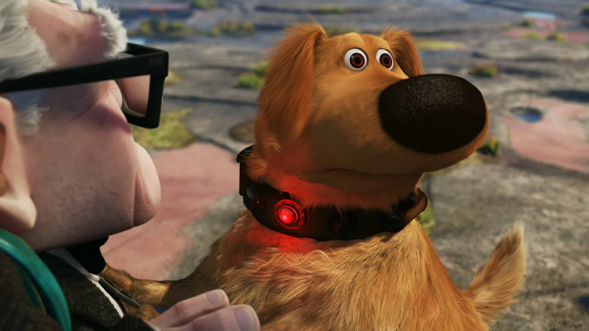 Amazon Reportedly Working On A Pet Translator Device That’ll Help Them ...